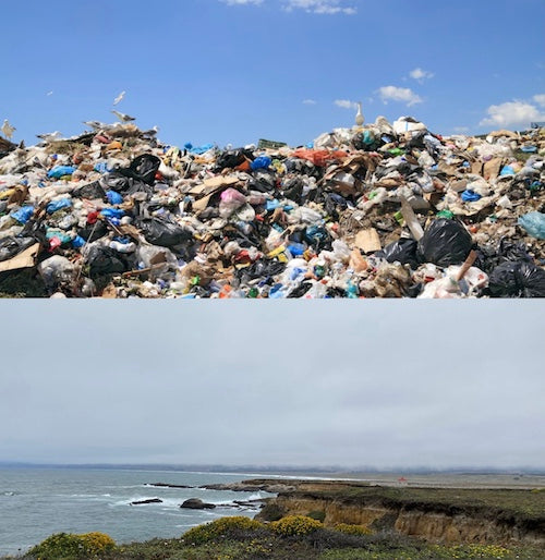 Where does your trash end up? | CT Organics